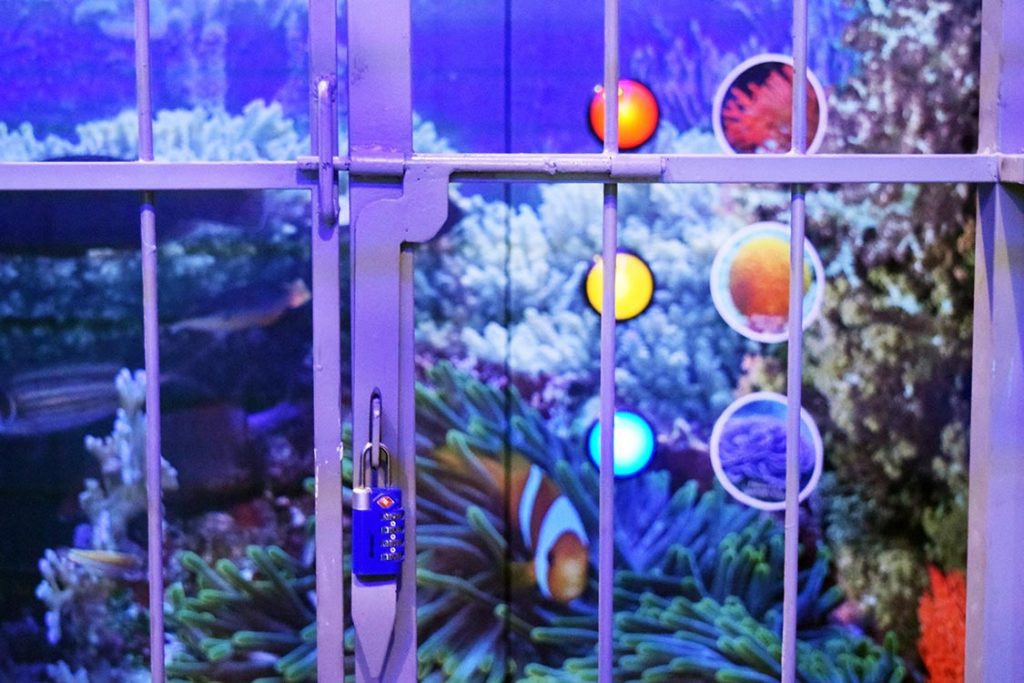 Escape Room - Saving Oceans Now